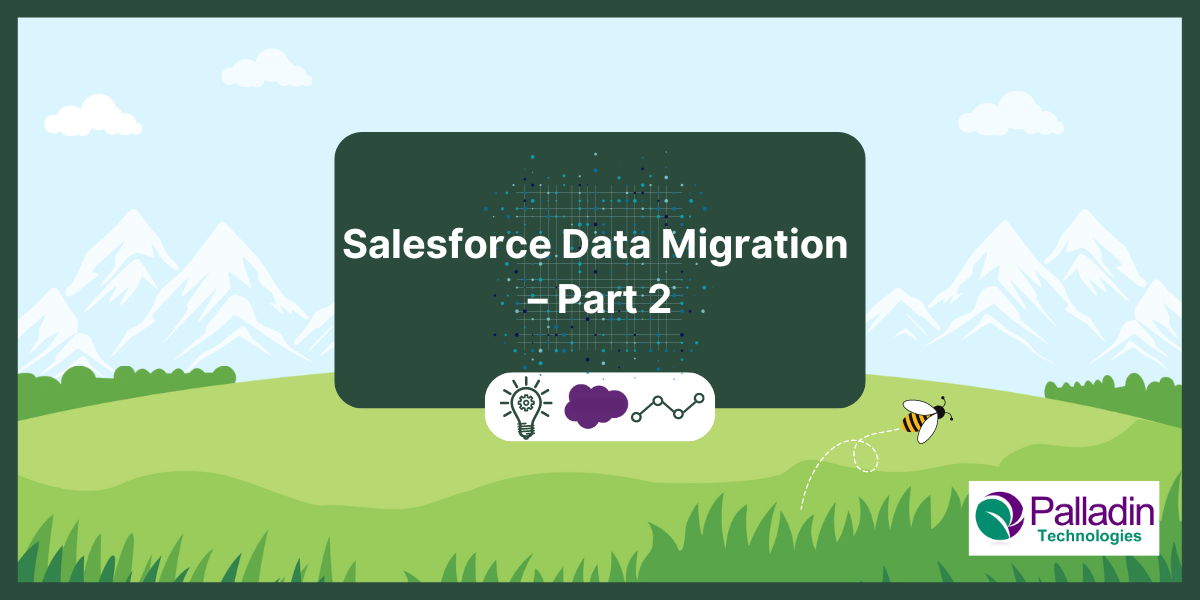 Salesforce Data Migration Part 2 Palladin Technologies